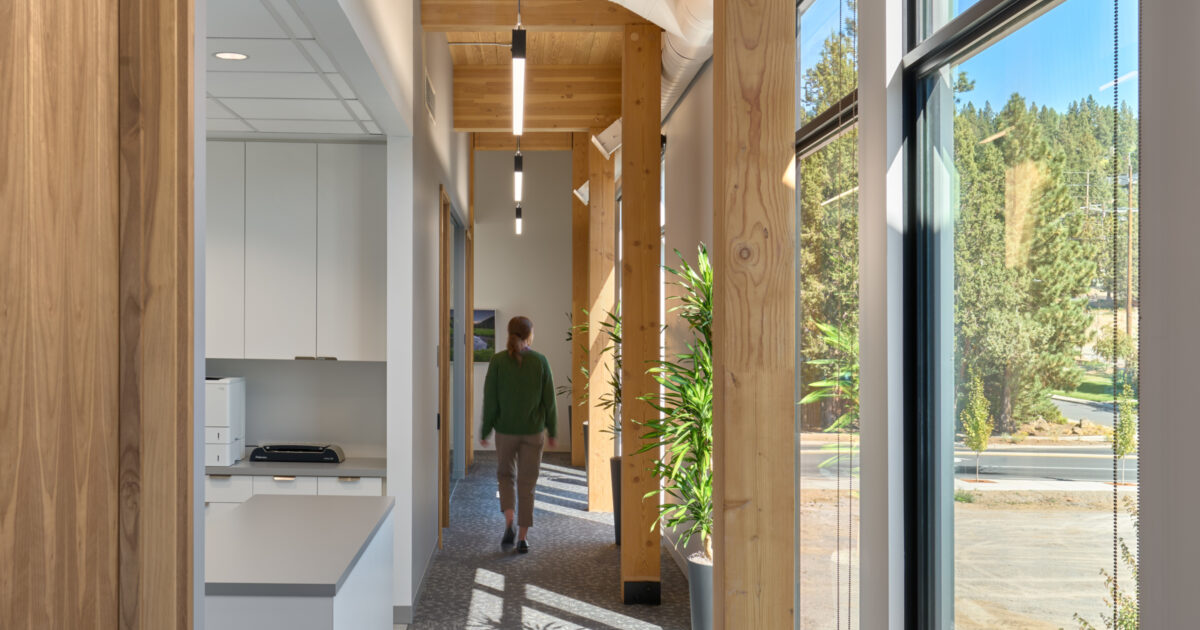 Why Mass Timber is Best-Suited for Office Construction | Timberlab