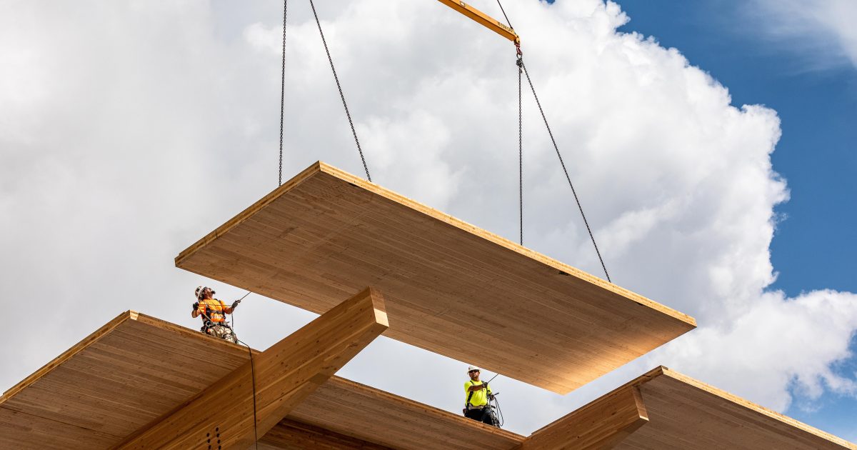 Projects | Timberlab