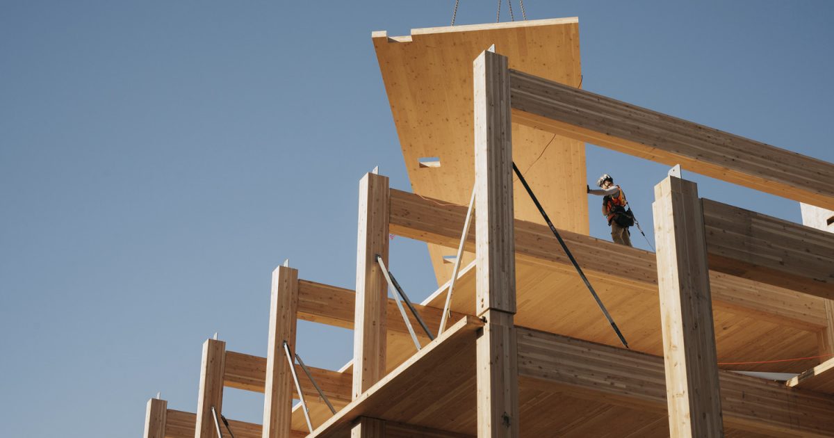 Our Services | Timberlab