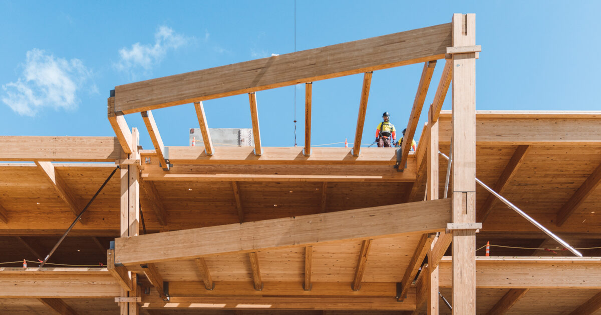 Projects | Timberlab