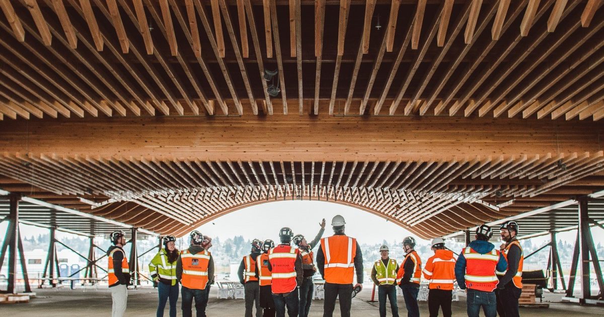 A Story of People, Forests, and a Beautiful Mass Timber… | Timberlab