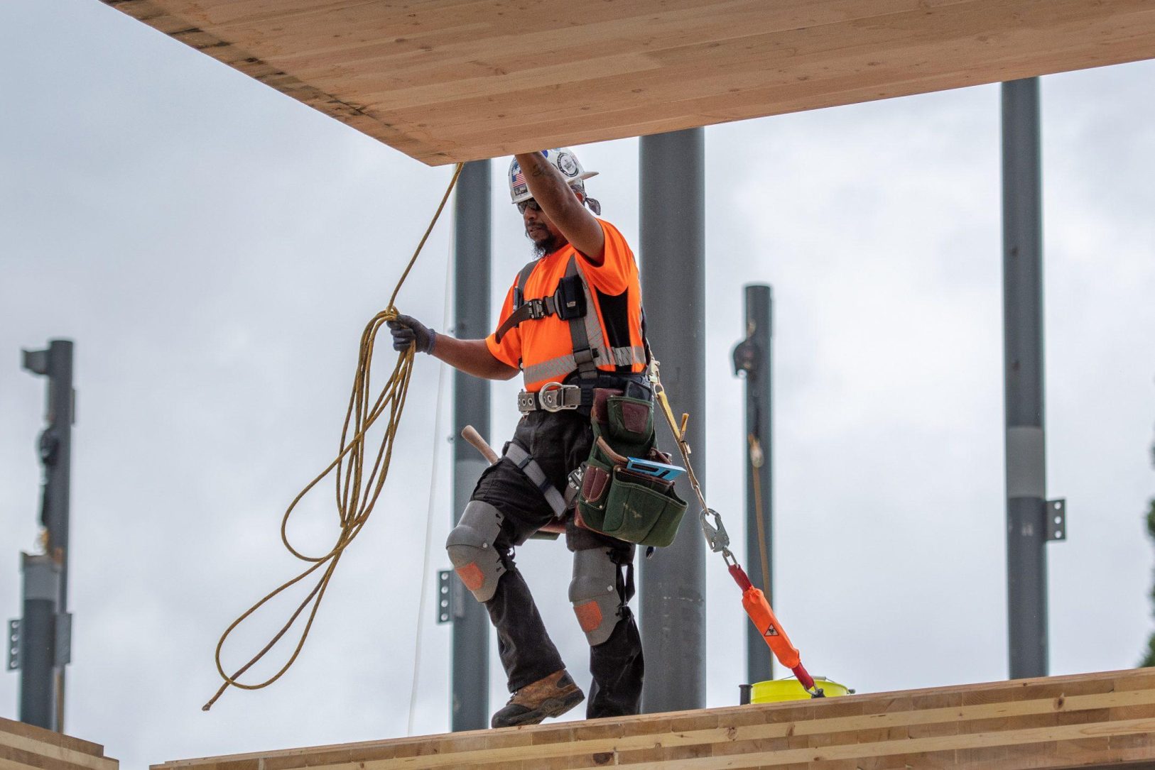 About Us | Timberlab