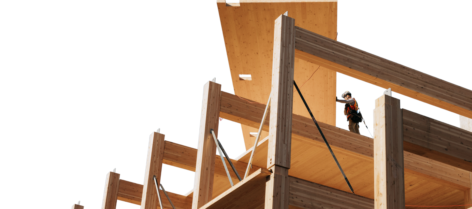 Projects | Timberlab