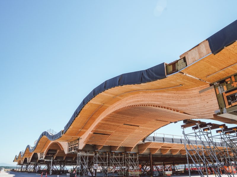 Projects | Timberlab