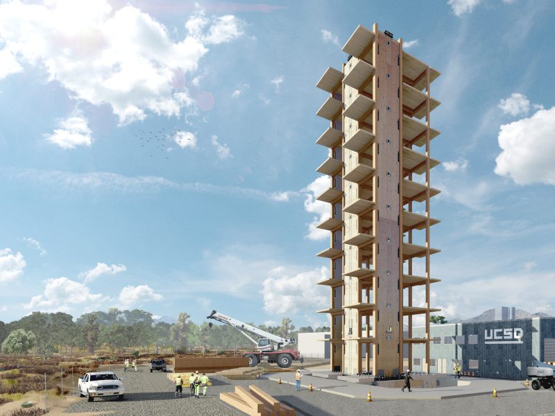 Projects | Timberlab