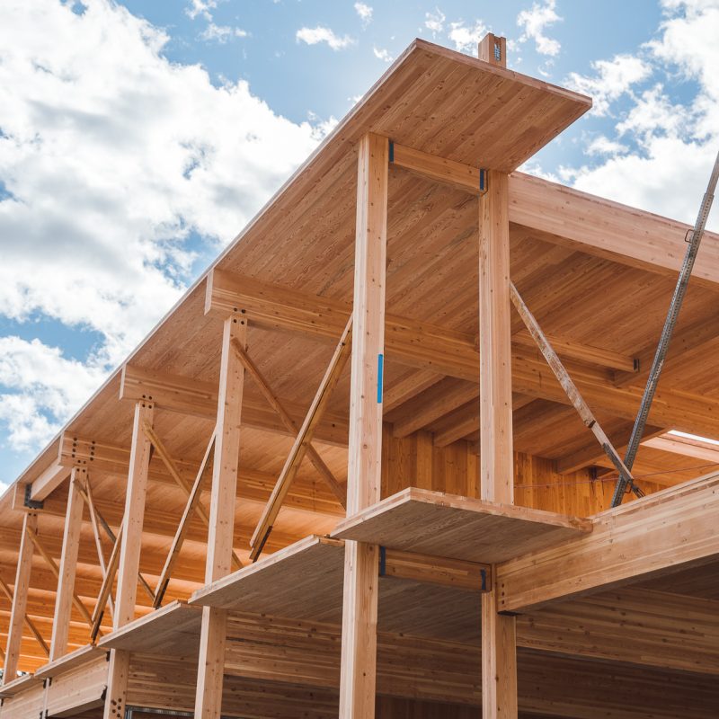 Projects | Timberlab