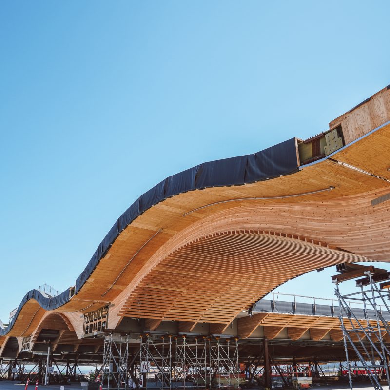 Projects | Timberlab